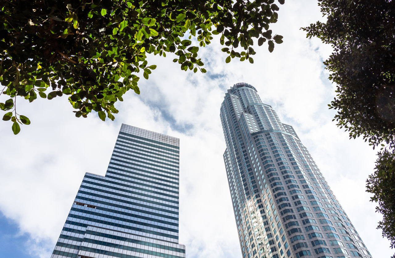 Growth lending deep dive | Wellington Management