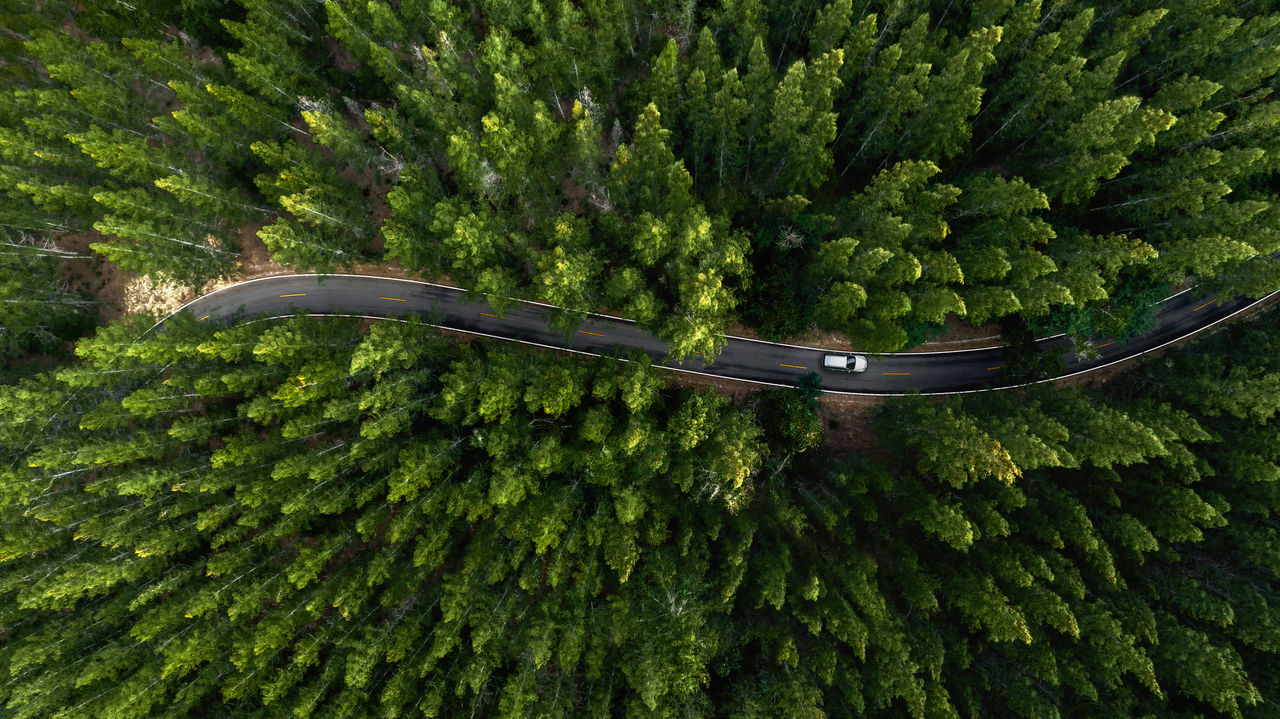Venture and growth equity: The future of evergreen funds? | Wellington ...