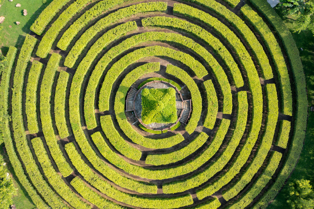 Go-to-market strategy: 5 lessons learned | Wellington Asia excluding ...